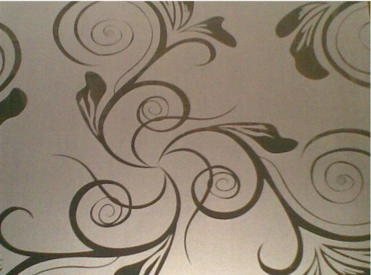 Prime elevator etched 304 stainless steel decorative sheets with Mirror surface