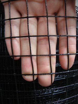6 X 6 Concrete Reinforcing Welded Wire Mesh With Hot Dipped Galvanized Steel
