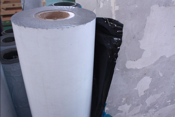 Cold Rolled 304 NO.4 Stainless Steel Protection With Poli Film / Novacel 4228 Laser PE
