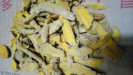 rhizoma curcumae longae/ Jiang Huang