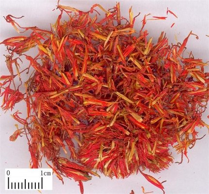Flower, Flos, Rhizome, Radix, Leaf, herbs