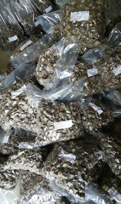 oriental medicine, TCM, traditional chinese medicine