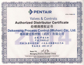 Decomont Process Control (Wuhan) Co., Ltd.