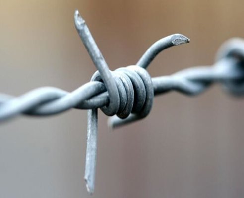 high tensile double twist  barbed wire  two strands high tensile barbed wire  3"-5" barb distance, 1-2cm barb length