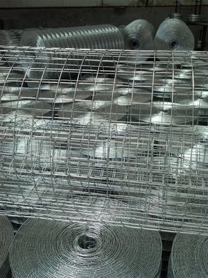 1/2inch/ 3/4inch/ 1inch electro galvanized welded mesh hot dipped galvanized welded mesh PVC coated welded wire mesh