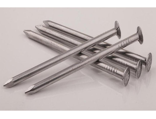 Common Round Nail