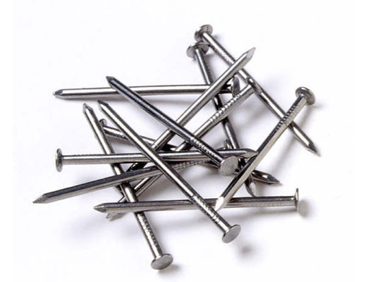 Common Round Nail