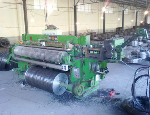 Welded Wire Mesh