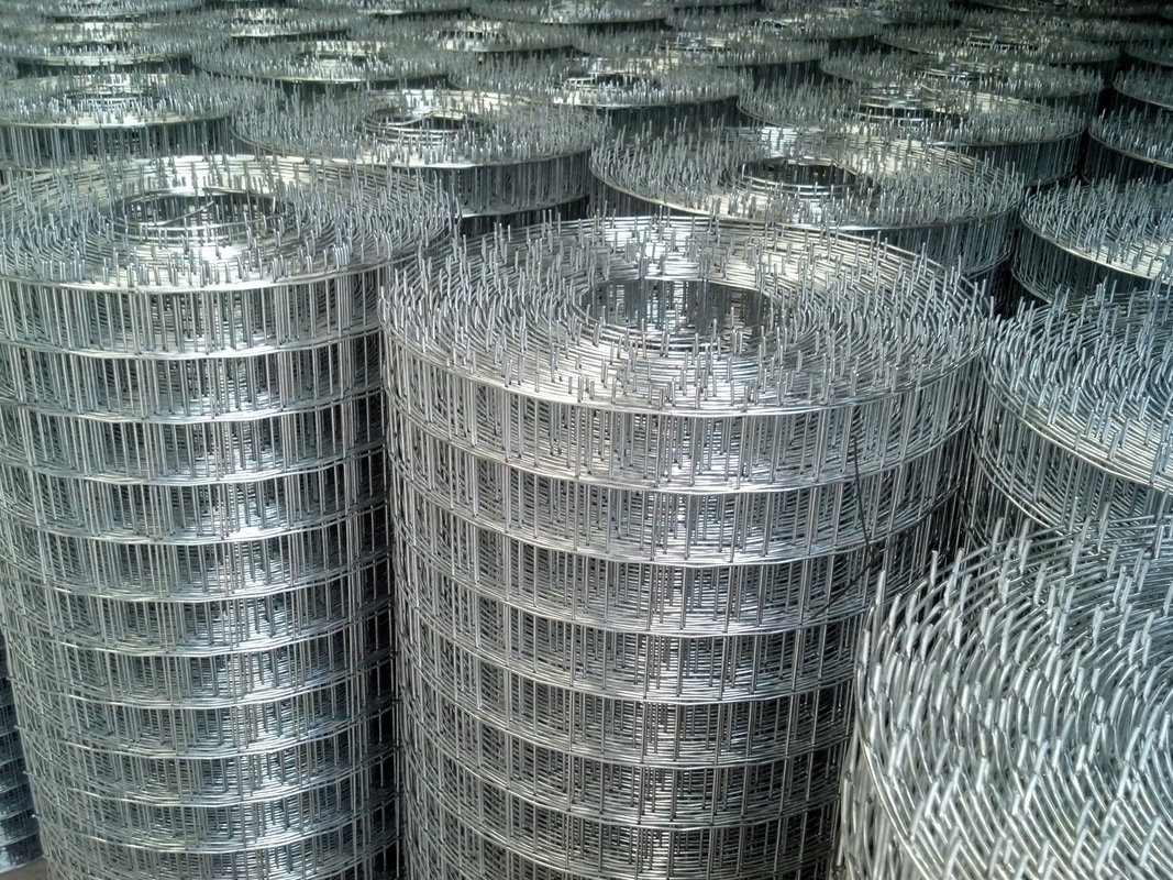 1/2inch/ 3/4inch/ 1inch electro galvanized welded mesh hot dipped galvanized welded mesh PVC coated welded wire mesh
