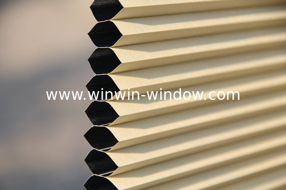 Honeycomb Blinds
