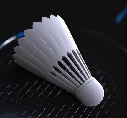 Badminton Creative Wireless Speakers , Hopestar T1 Waterproof Bluetooth Speaker