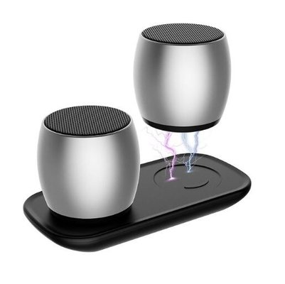 Sardine F1 Metal Bluetooth Powered Bookshelf Speakers TWS System Column Portable