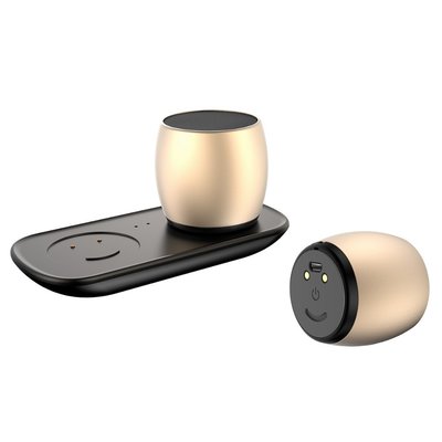 Sardine F1 Metal Bluetooth Powered Bookshelf Speakers TWS System Column Portable