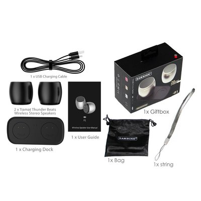 Sardine F1 Metal Bluetooth Powered Bookshelf Speakers TWS System Column Portable