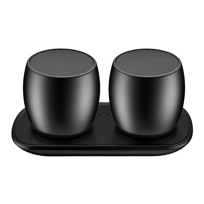 Sardine F1 Metal Bluetooth Powered Bookshelf Speakers TWS System Column Portable