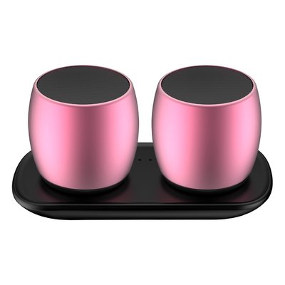Sardine F1 Metal Bluetooth Powered Bookshelf Speakers TWS System Column Portable