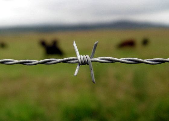 Customized Razor Barbed Wire , Electric Barbed Wire Fence ISO 9001 Certified