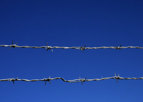 Galvanized High Tensile Razor Barbed Wire , Barbed Wire Security Fence