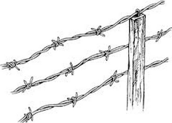 Hot Dipped Galvanized Sharp Barbed Wire Fence Roll 450mm - 960mm Diameter