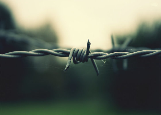 BWG 16 Razor Barbed Wire Fence Single Electric Galvanized Reverse / Normal Twist