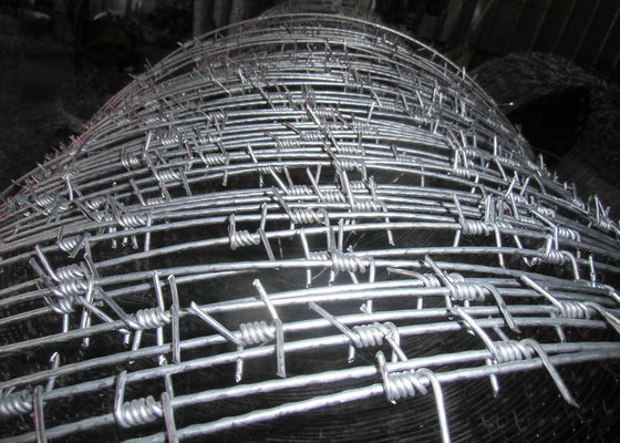 Hot Dipped Galvanized High Tensile Barbed Wire 10BWG X 12 BWG Per Roll