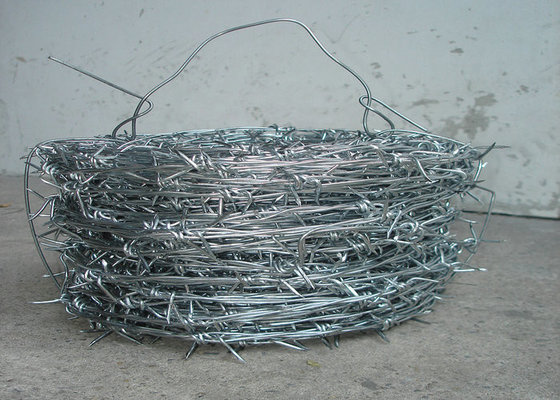 1.5cm - 3 Cm Barbed Length Barbed Wire Fence 16 X 16 Double Strand For Fence