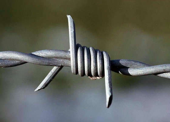 3 Stand Razor Barbed Wire High Security Airport Fence Barbed Wire Razor Wire