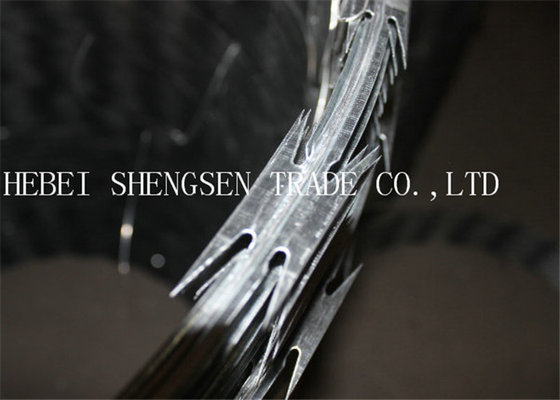 Heavy Protecting Razor Barbed Wire , Concertina Razor Blade Barbed Wire