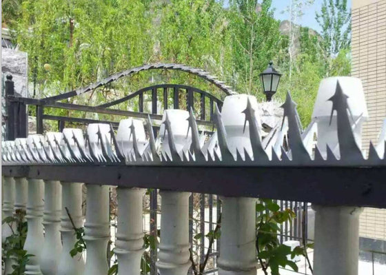 Galvanized Razor Wall Spikes Large Size 2mm Thickness 1250mm Length