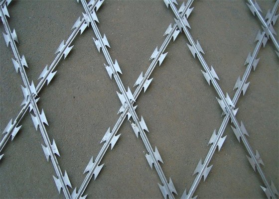 Border Fence Coiled Barbed Wire With Roll Dia 450mm / 730 Mm / 980 Mm