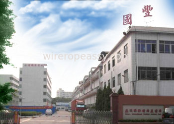 Dongguan Guofeng Sports Equipment Fitting Co., Ltd.