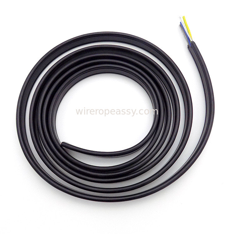 Wire Rope Assembly Security Steel Lanyard Stainless Steel Wire With Electric Black Coating All Dimentions Avaliable