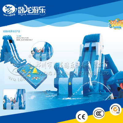 Hot Selling Commercial Inflatable Water Slide/ Large Size Water Slide for Adult