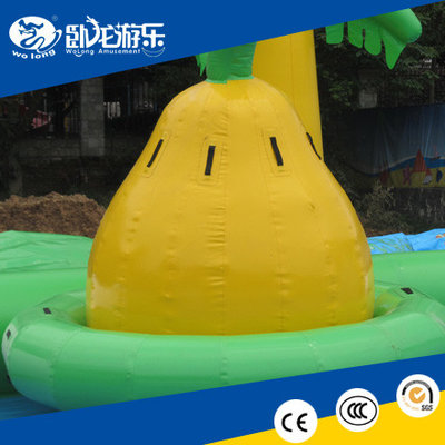 Adults floating park game toy flying towable inflatable water sport