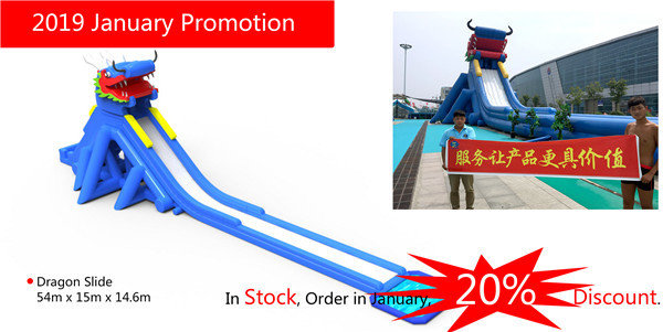 Giant inflatable pool slide/tropical inflatable water slide with pool for kids and adults