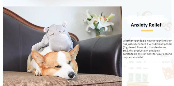 Soft Star Pillow with Glowing LED Light Up Star Pattern Plush Toy with Night Light Home Bedroom Living Room Decoration