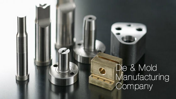 Mold Parts Carbide Tungsten Steel Straight Punches Customized Punch for Die Mold