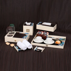 China Bespoken 5-star hotel guestroom arylic collection , acrylic tissue box supplier