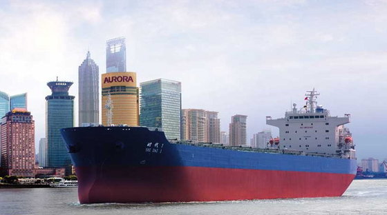 Bulk cargo sea freight Door to Door Shipping china to Casablanca Morocco