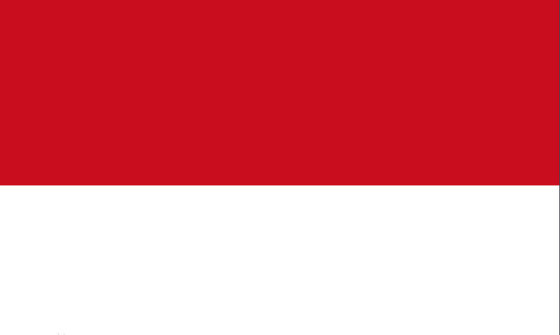 Worldwide Door to door DHL Courier Service from China to Indonesia