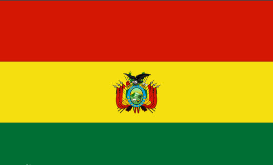Express DHL Courier Service door to door from China GuangZhou HK to Bolivia