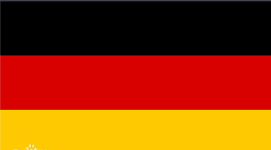 Hong Kong China to Germany cheap safe DHL Courier Service World Wide