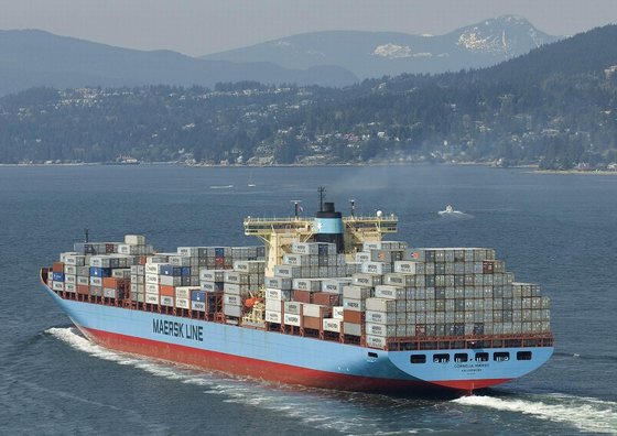 Sea Freight Door To Door Shipping FCL LCL Container / Cargo Shipping Rates China - Japan Tokyo