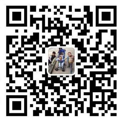 Door-to-Door Shipping Singapore Special Line DDP/FOB Express Service