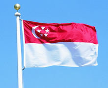 Global Sea Freight Forwarder China / Guangzhou / Hongkong / Shenzhen To Singapore Port TCL