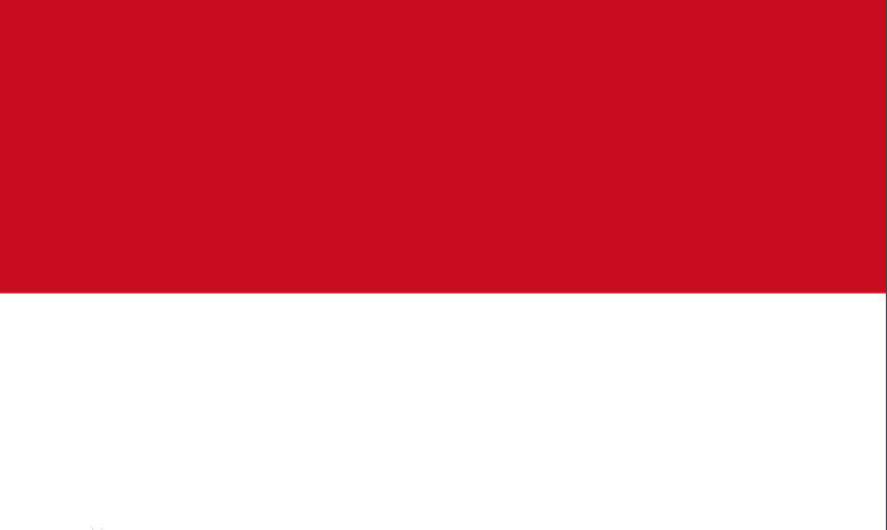 Worldwide Door to door DHL Courier Service from China to Indonesia