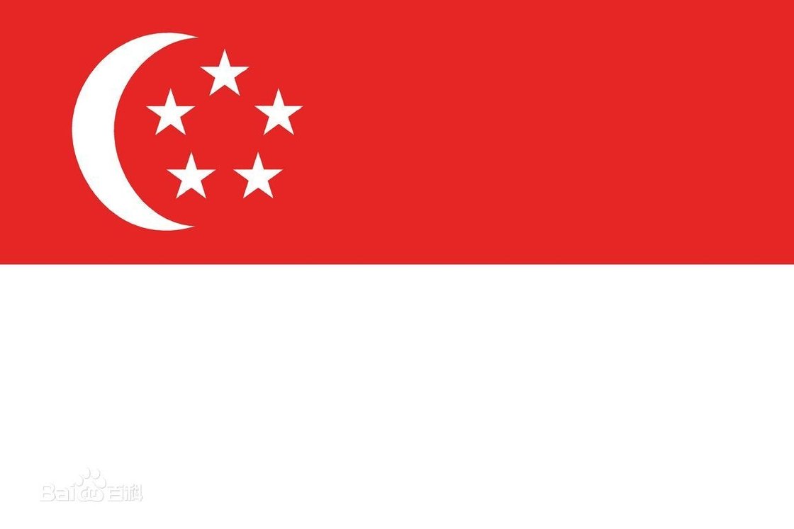 China to Singapore door to door DHL Courier Service , DHL worldwide express