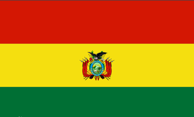Express DHL Courier Service door to door from China GuangZhou HK to Bolivia