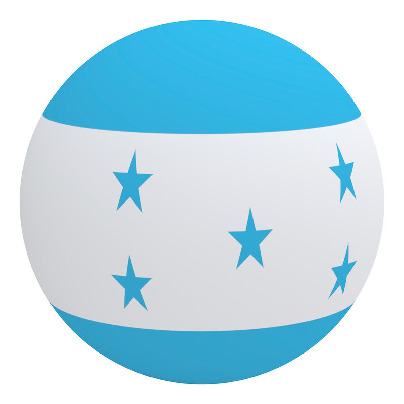 worldwide logistics   service forwarder  safely  4-5days  to door  to Honduras