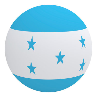 worldwide logistics   service forwarder  safely  4-5days  to door  to Honduras